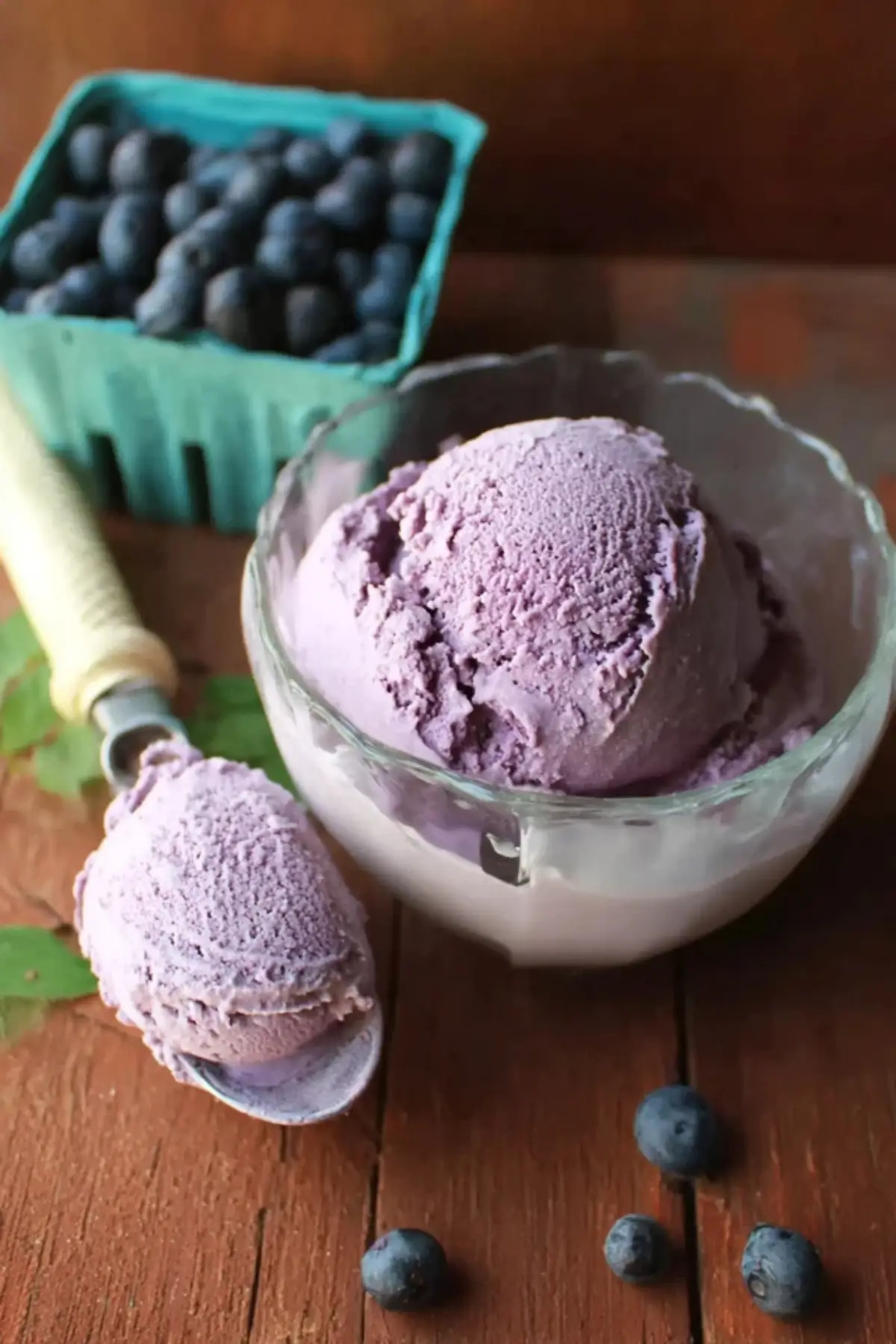 Homemade Blueberry Ice Cream: A Creamy, Fruity Delight for All Seasons ...