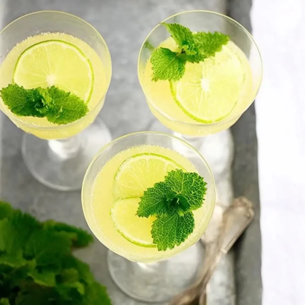 lemon balm recipes: A Refreshing Drink for Any Occasion - Recipes by ...