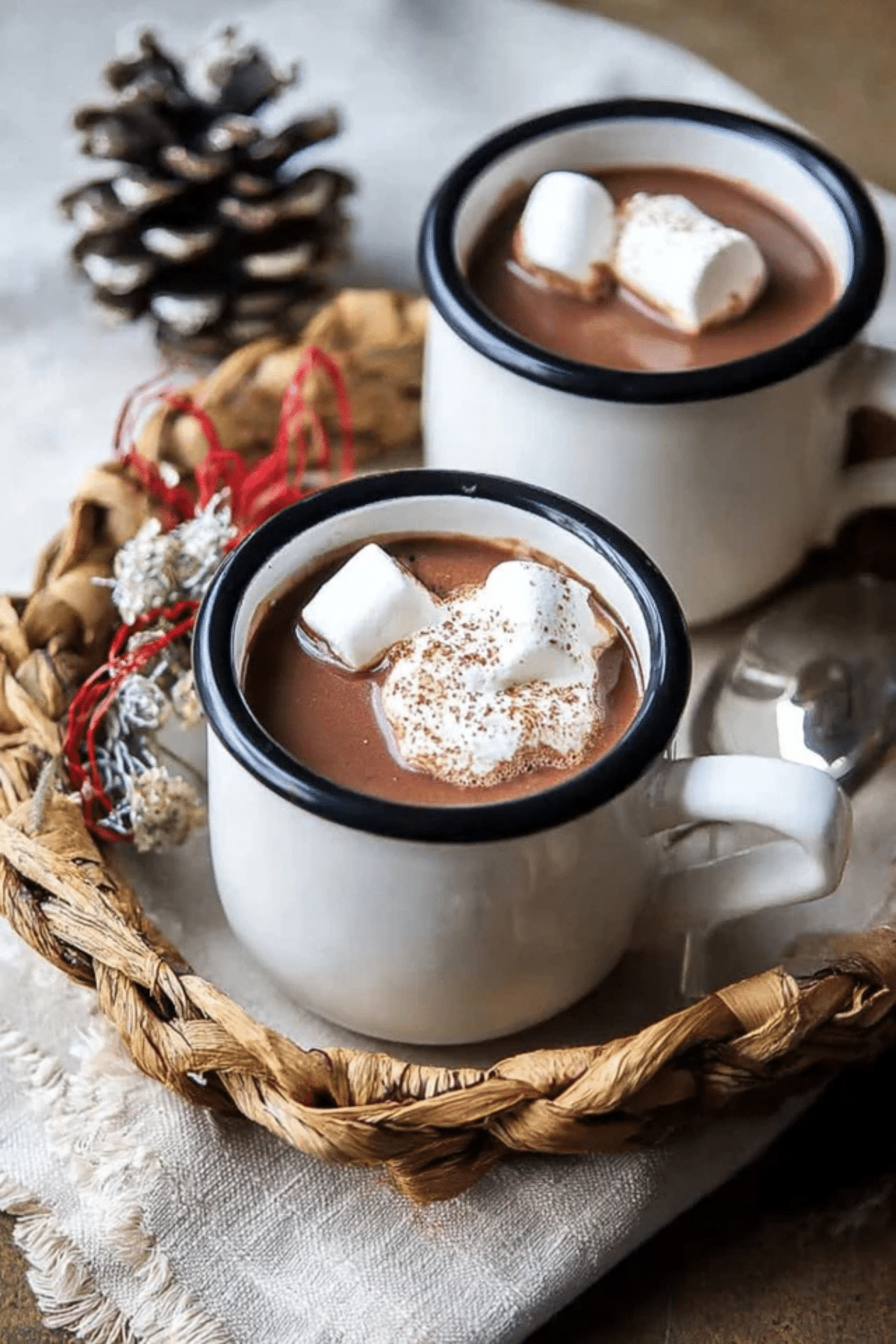French Hot Chocolate: The Richest, Creamiest Chocolat Chaud You’ll Ever ...