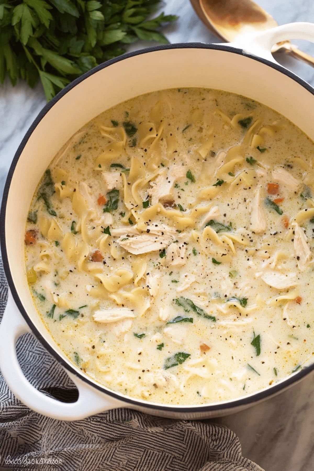 White Chicken Lasagna Soup: Creamy, Comforting, and Full of Flavor ...